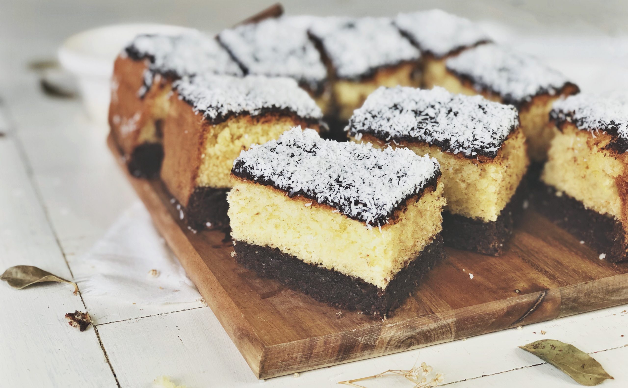Lamington Memes